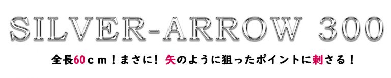 SILVER-ARROW 300 | ソルブレ